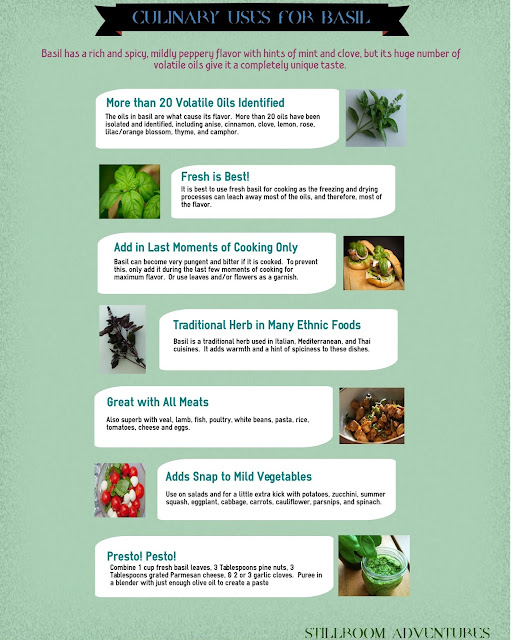 Basil: The Ultimate Guide