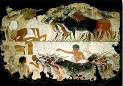 S T R A V A G A N Z A: STOCKBREEDING AND HUNTING IN ANCIENT EGYPT