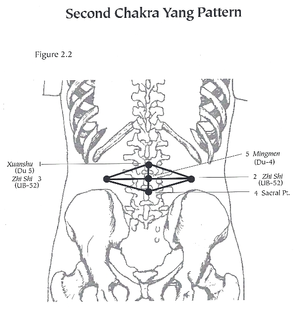 The Elegant Klutz: Utthita Pristhasana or Lizard Pose