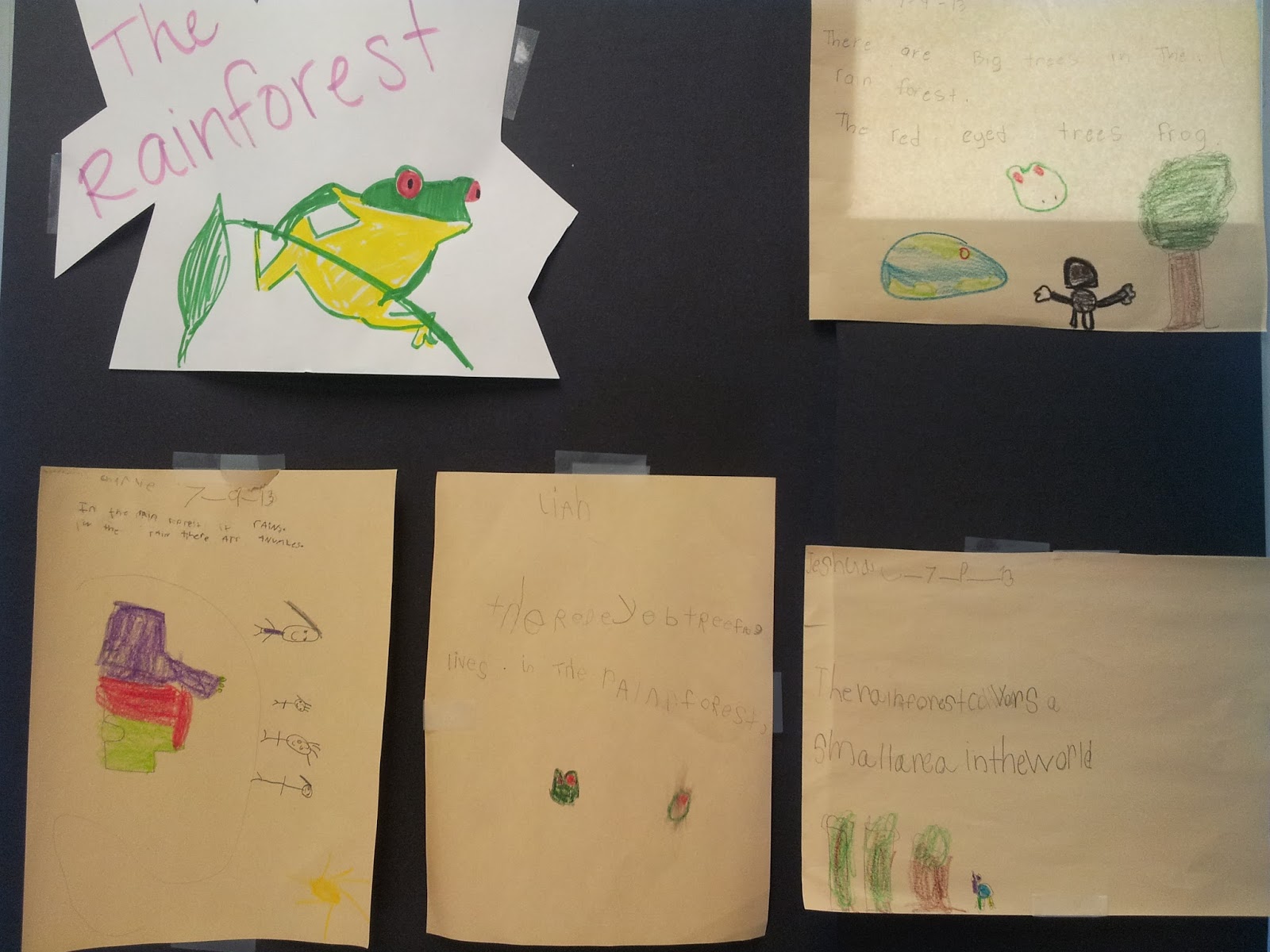 Crowl's Owls: Rainforest Project Based Learning