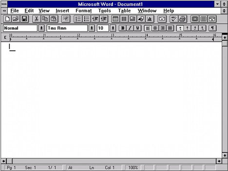 Michael Silva Chero: Historia de Word