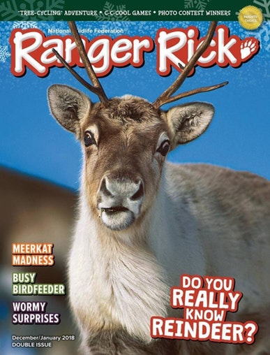 One Momma Saving Money: Ranger Rick Magazine subscription only $11.99 ...
