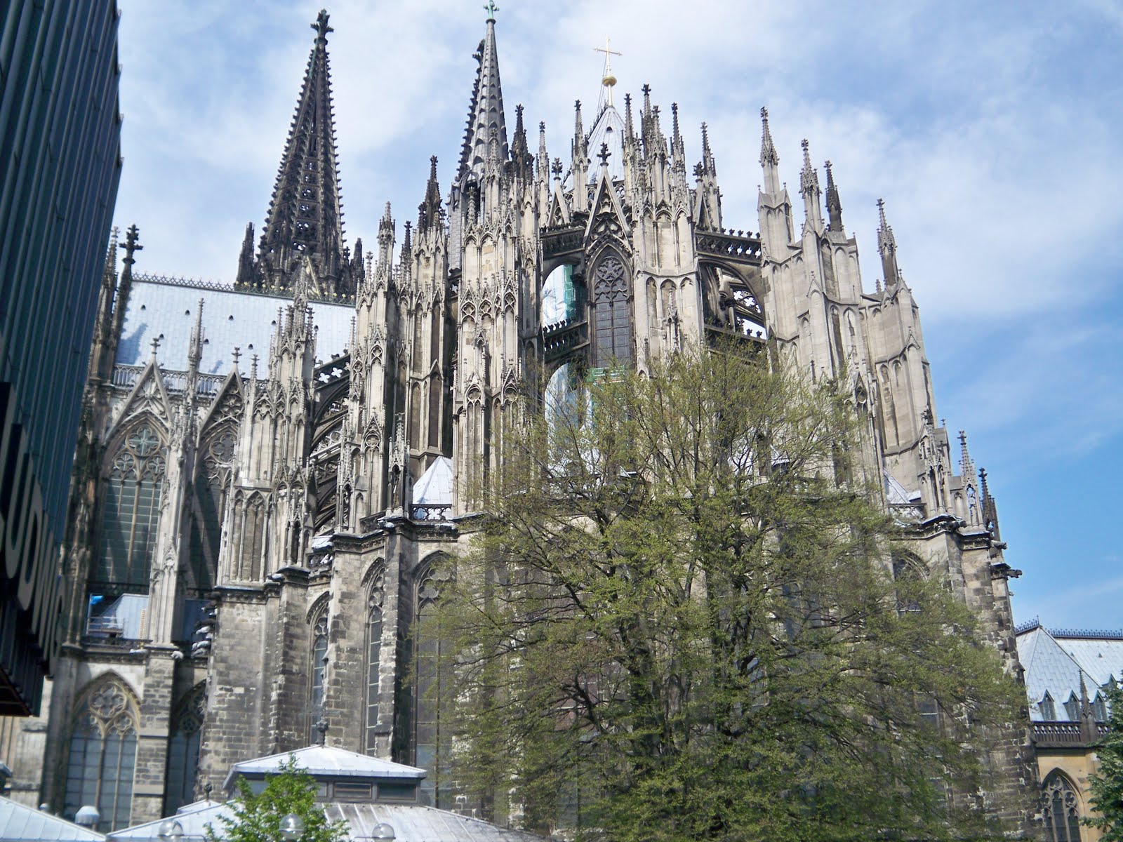 Goofy in Germany: Kohn (Cologne) Germany 6-2011