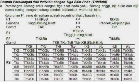 Biologi : Genetika part 1 | Mix Knowledges Blogs