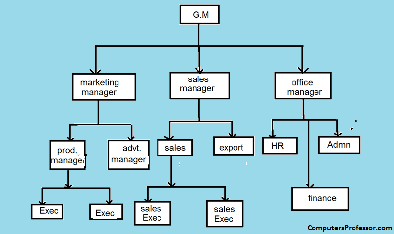 Explain an Organisation of an Office ? | Computers Professor