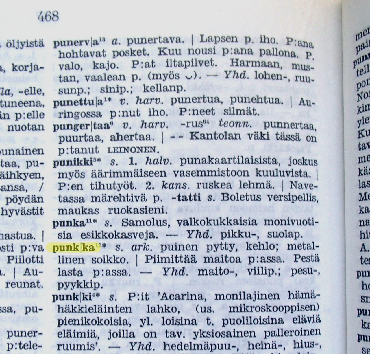 Laiskurin päiväkirja: Punkanpohjat