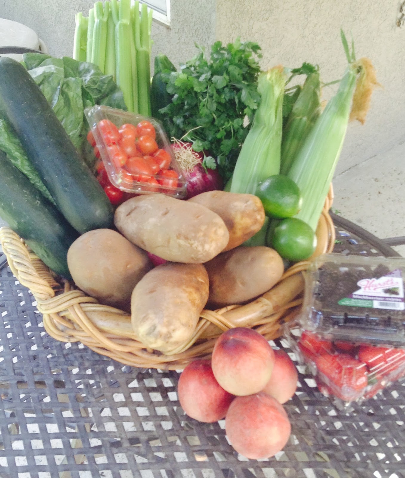 The Gluten-Free Project: A New Opportunity and Some Recipes: 1st ...