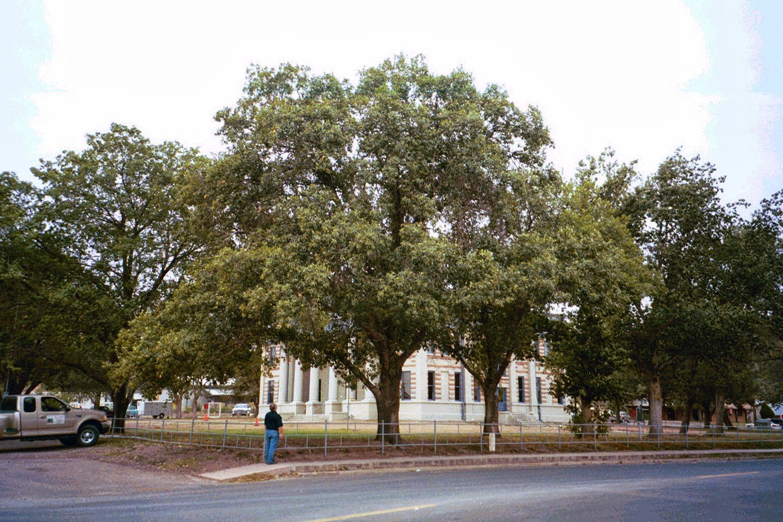 Come and See The Show!