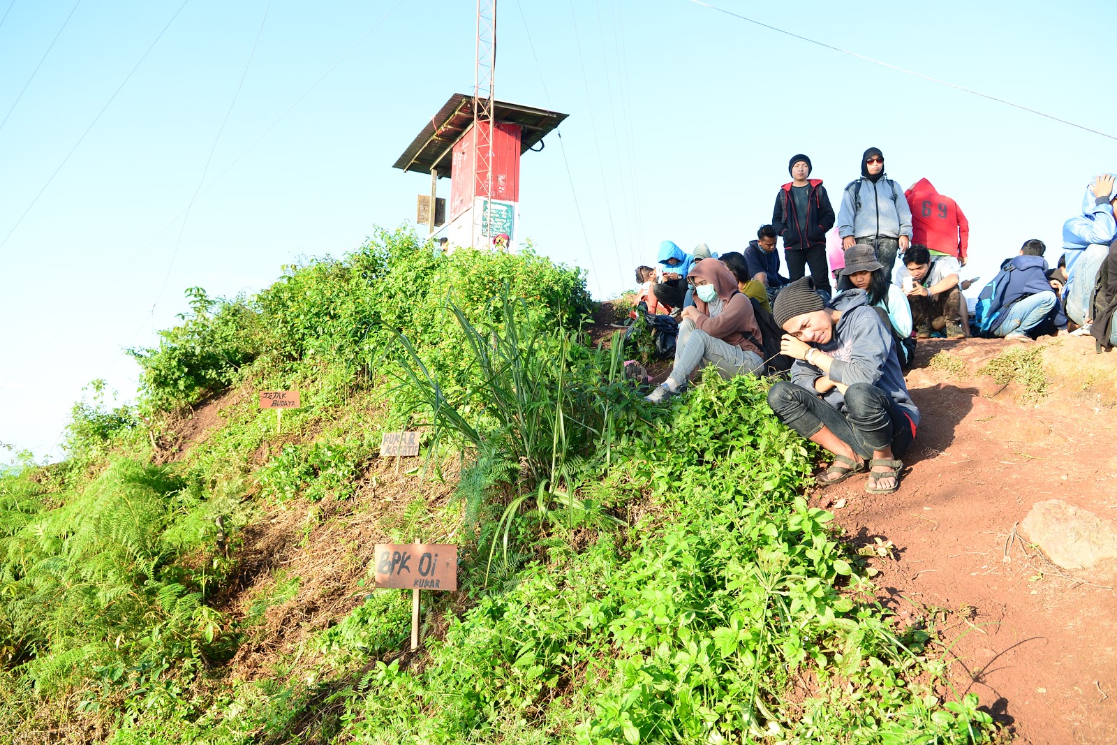 Memungut harapan Di puncak Bukit Biru