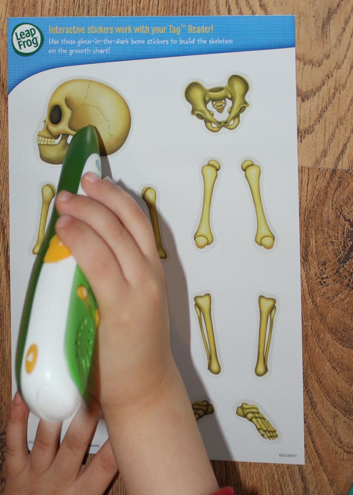 Craftaholic: LeapFrog Interactive Human Body Discovery Pack