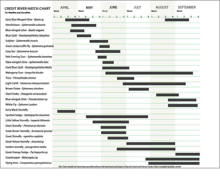 The Elliot Lake Flyfishing Blog.: Grand River/Credit River Hatch charts.