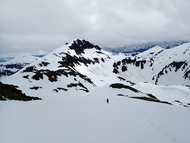 Alaska Classic: Juneau Ridge Hike