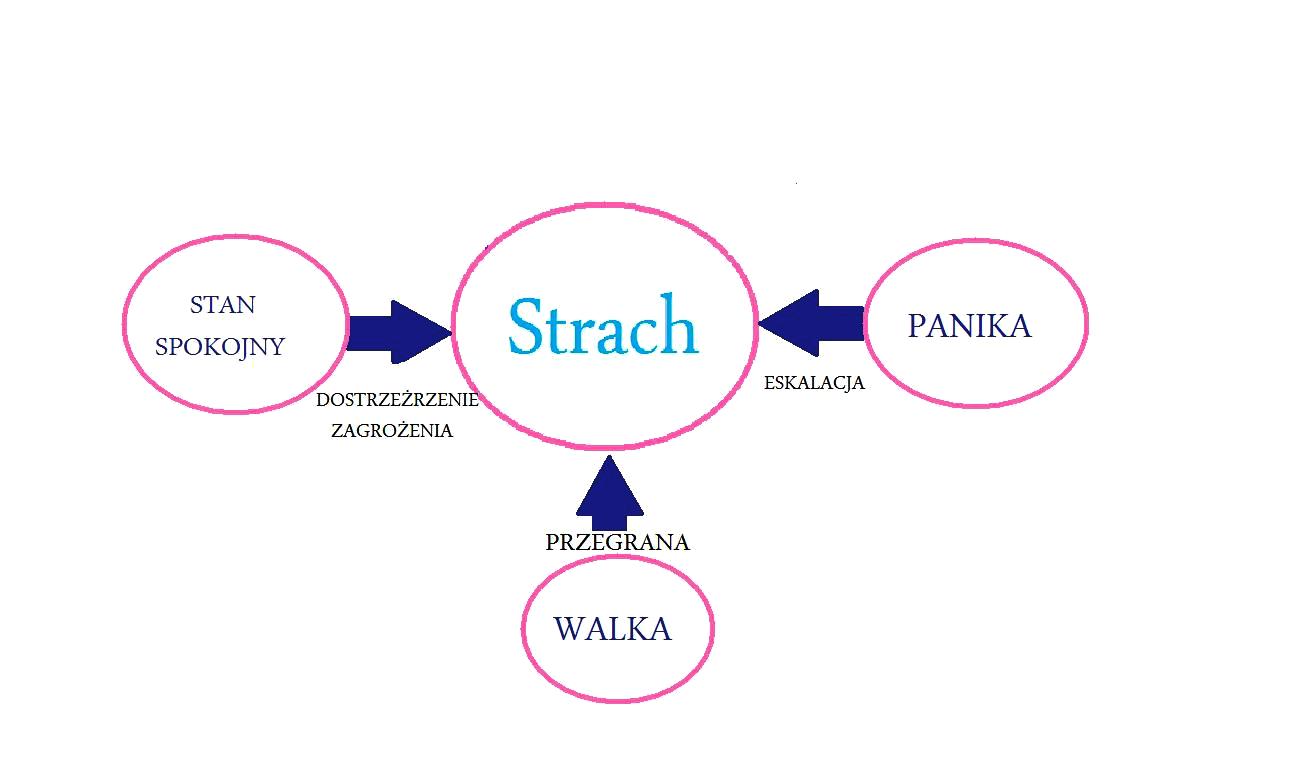 Emocje: Emocje podstawowe: Strach (8)