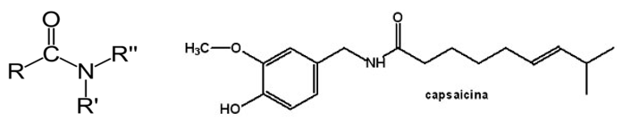 Normalmente as amidas não existem na natureza. Elas sãopreparadas por ...