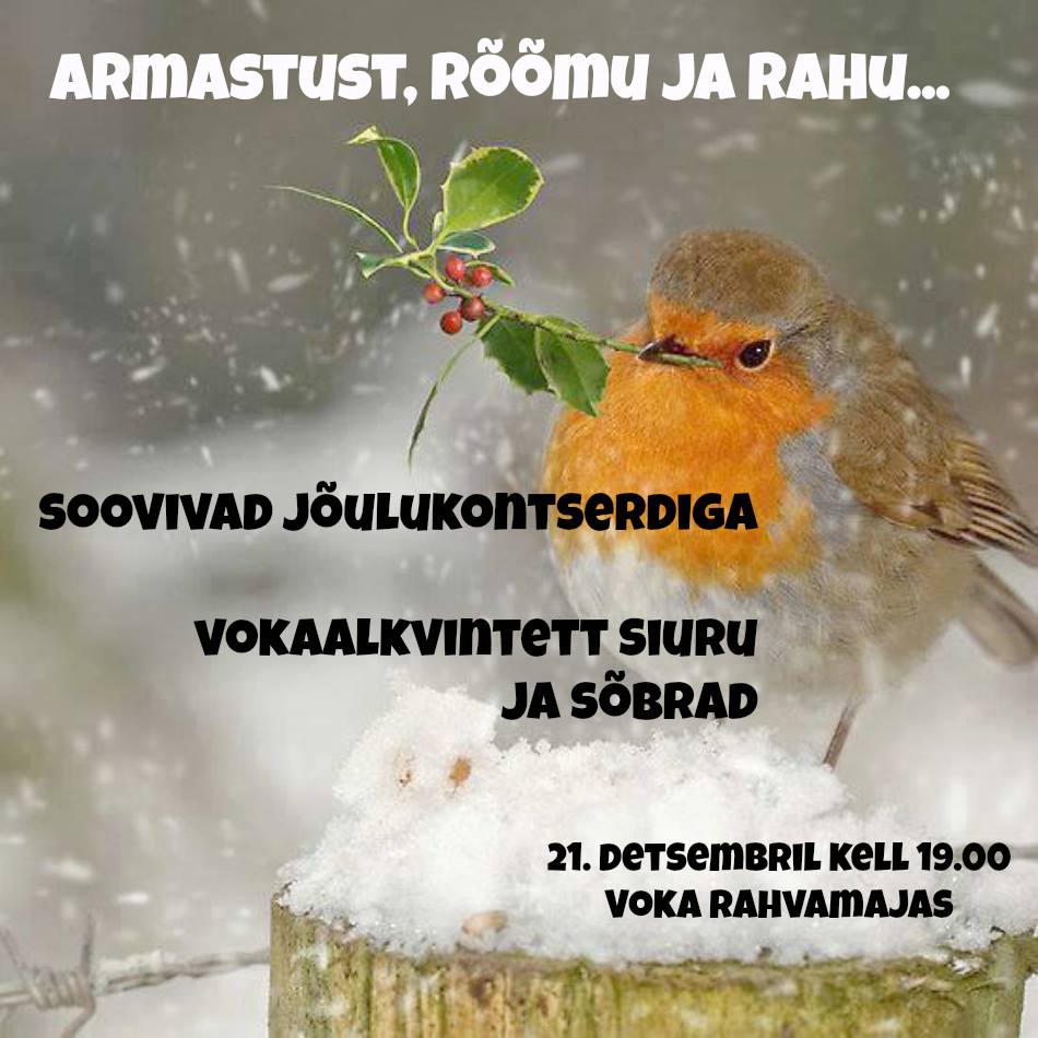 TOILA VALLA LEHT: Siuru jõulukontsert