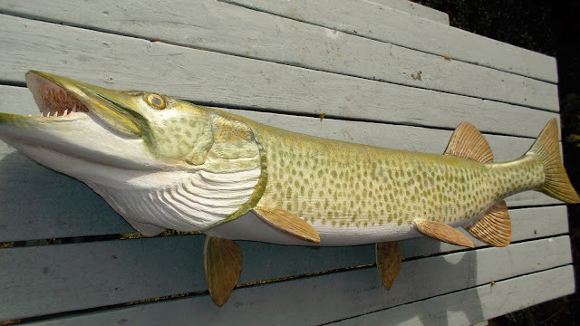 CHARLES WEISS ART: Carving a big wood musky