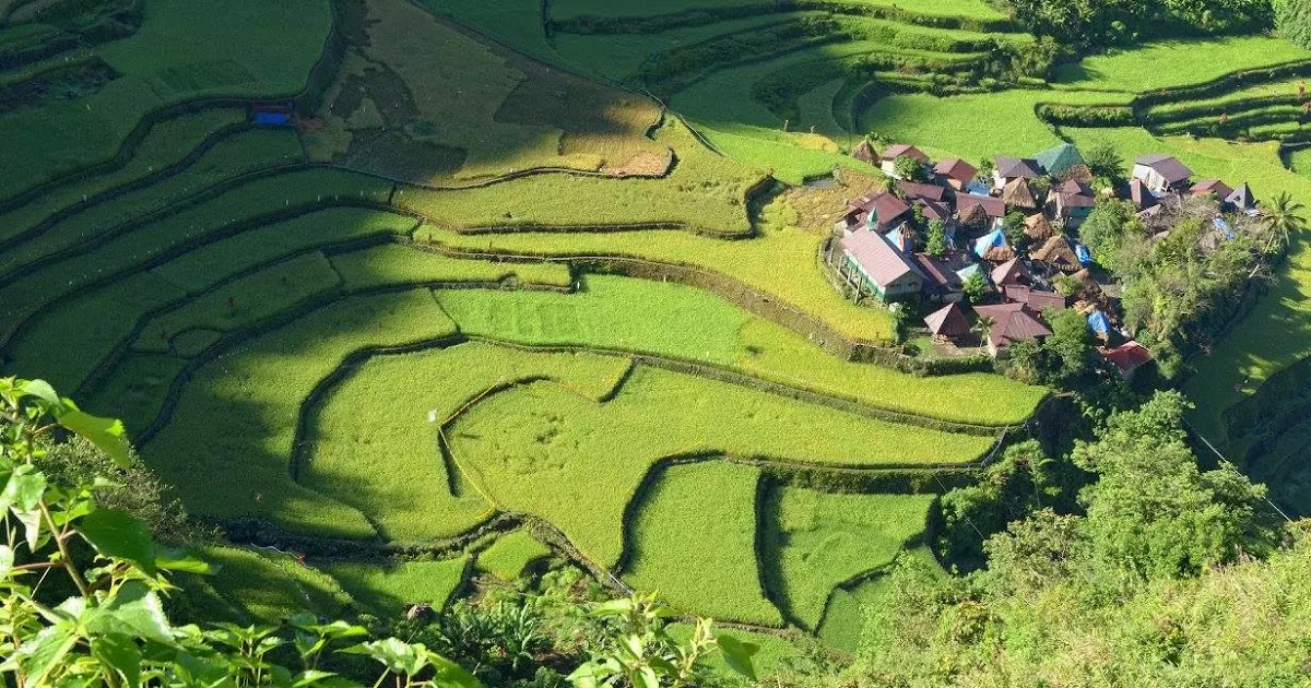 8th Wonder Bangaan Rice Terraces Travel Destination | AvianQuests
