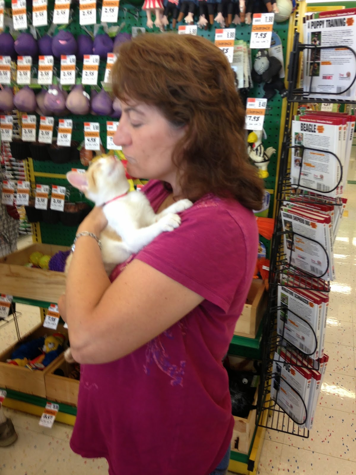 Ten Lives Club Cat Adoption Group: VOLUNTEER!