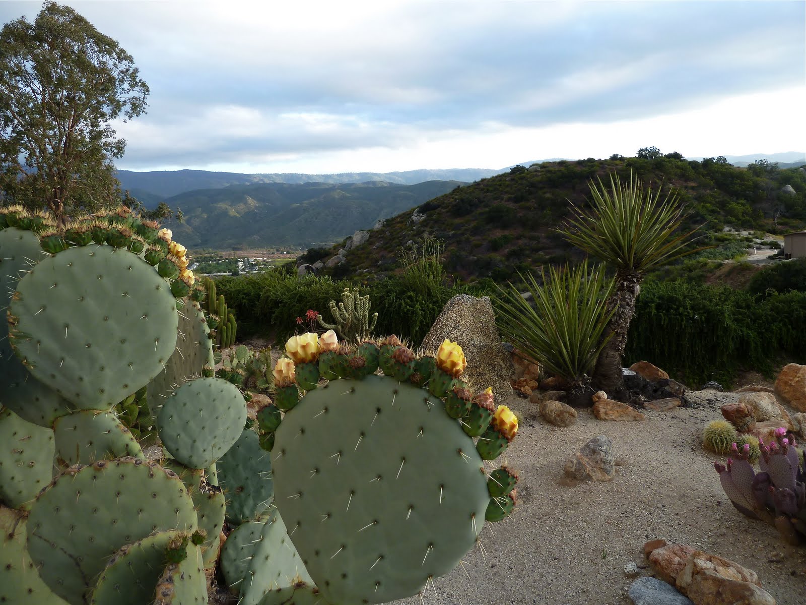 Where's Eldo?: Travelin' to Aguanga, CA