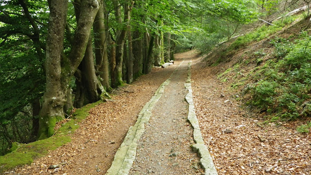 My Dartmoor Walks: Tuesday 3rd September The Templar Way