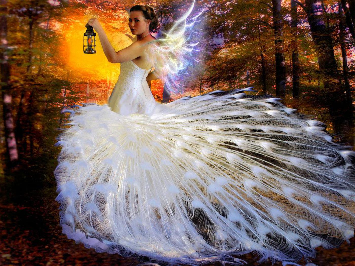 Wallpapers für Team-Ulm: die 4´te - Fantasy - Engel