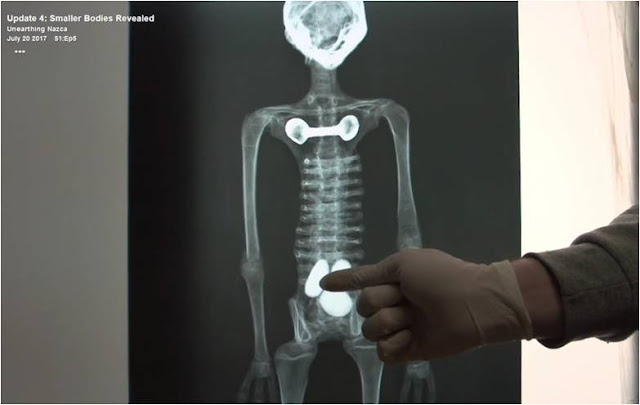 ANOTHER 5 EXTRATERRESTRIAL MUMMIES FOUND IN NAZCA