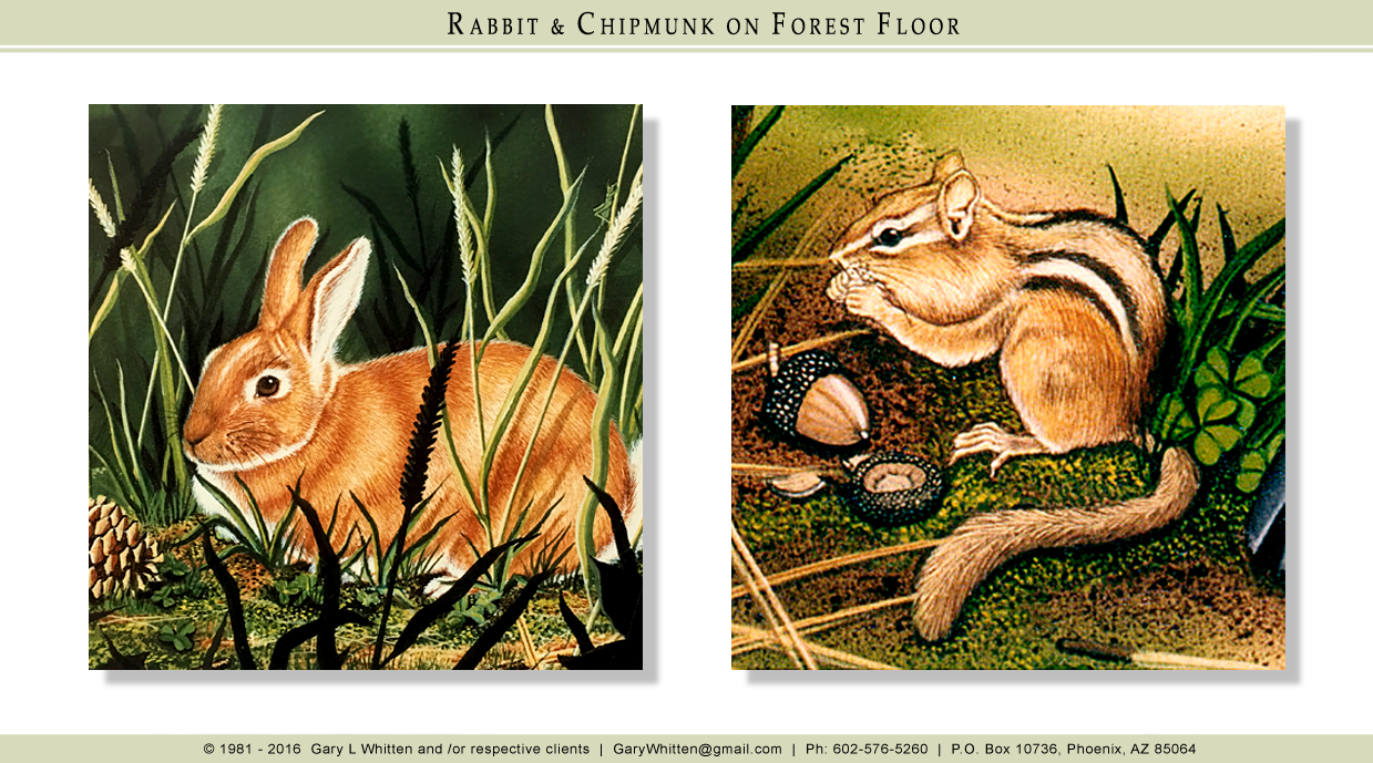Wildlife-Illustrated: Rabbit and Chipmunk - Mixed Media Art