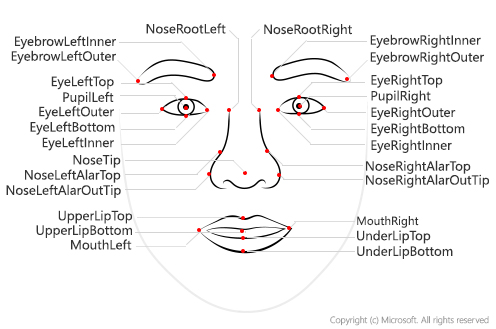 The Geometry in Face Recognition