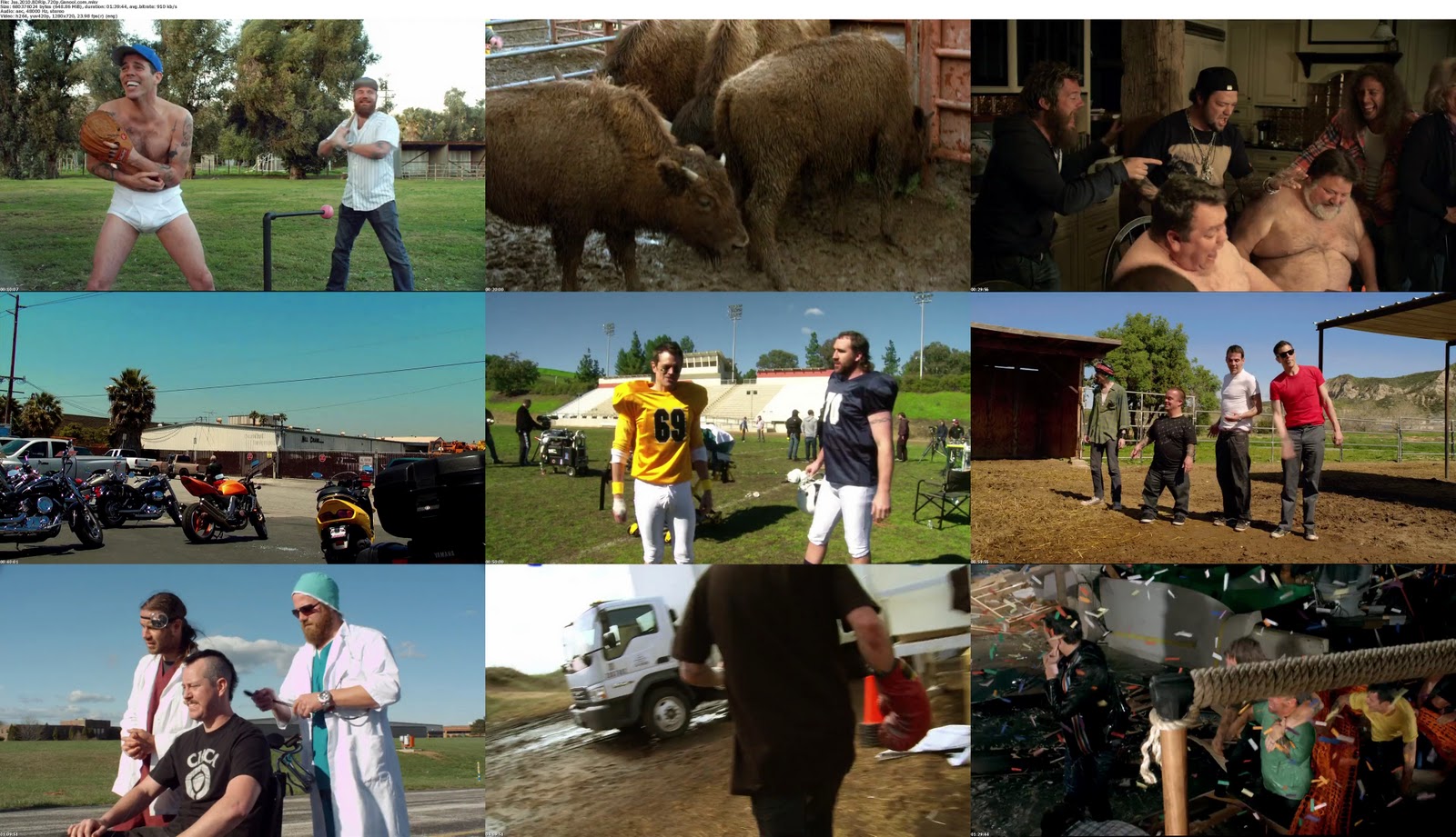 Jackass 3D (2010) BDRip (Mediafire) | All About Jackass