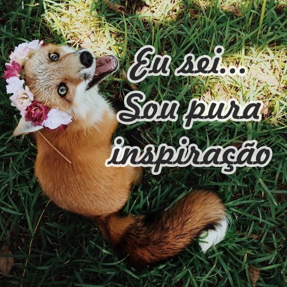 ' RAPOSAS ' : 25 ACESSÓRIOS QUE VÃO ENCANTAR SEU CORAÇÃO - Paloma Viricio