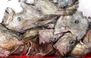 Through the Gaps! - Newlyn Fishing News: 01/04/19 - 01/05/19 Cornwall ...