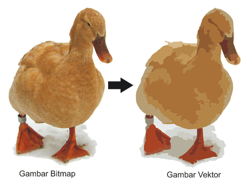 Cikgu Grafik Anda: Contoh-contoh gambar Raster dan Vector