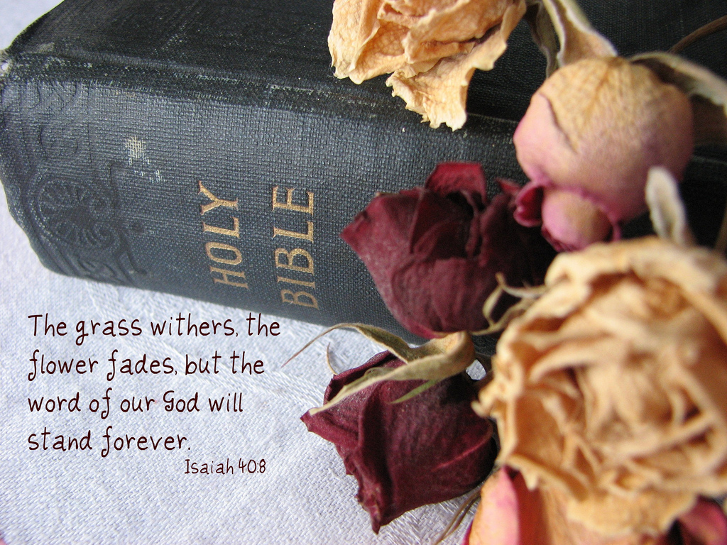 AnnaLee Conti: The Bible Baked in a Loaf of Bread