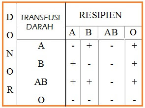 BIOLOGI GONZAGA: SISTEM TRANSPORTASI - BUKU
