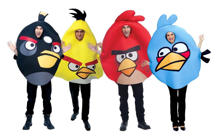 Halloween Costume Ideas 2016: 5 Angry Birds Easy Halloween Costume ...
