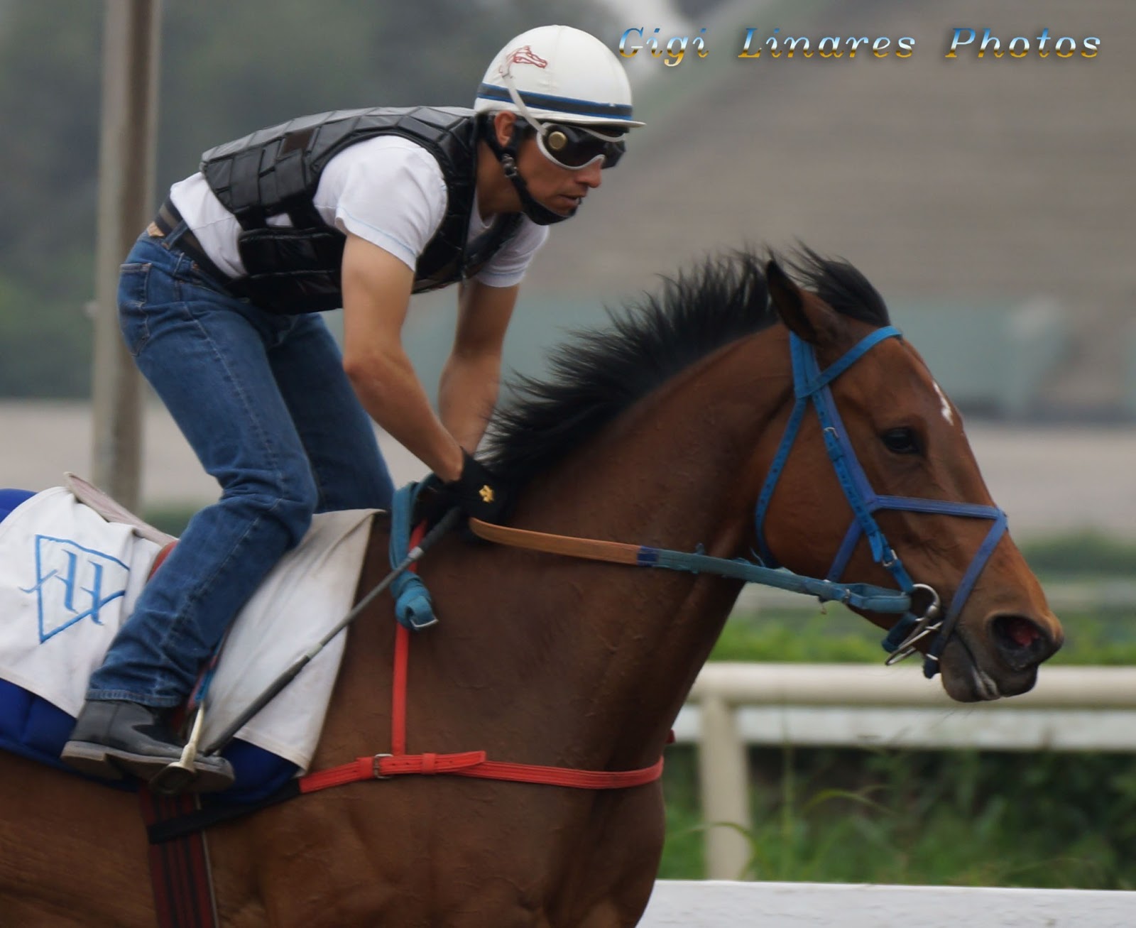 El Mirador Hípico Peruano: febrero 2013
