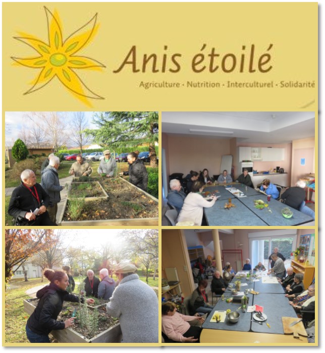 Animation EHPAD 63670: Activité manuel avec 'Anis étoilé'