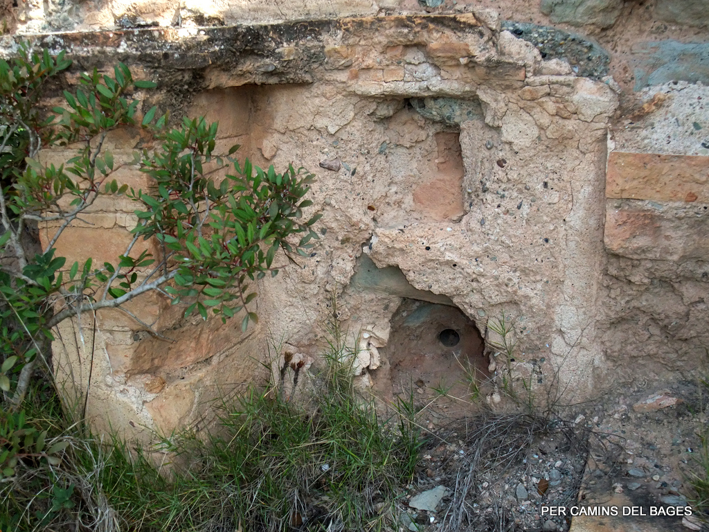 PER CAMINS DEL BAGES: TINES I BALMA DEL RACÒ DELS MANRESANS
