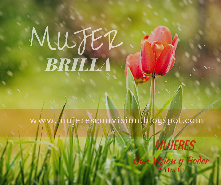 Mujeres con Vision y Poder: Mujer Brilla