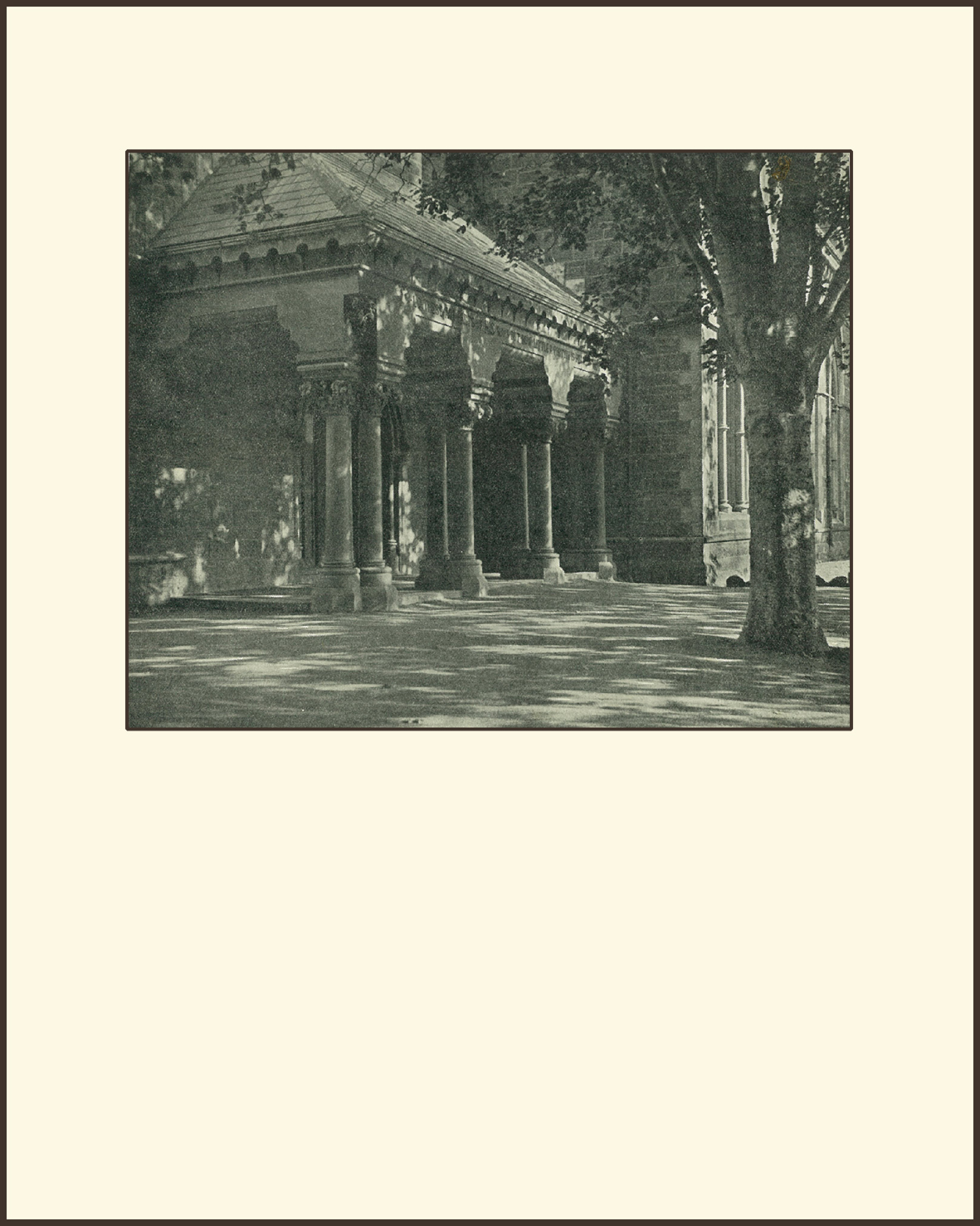 Early New Zealand Photographers: CHANCE, George