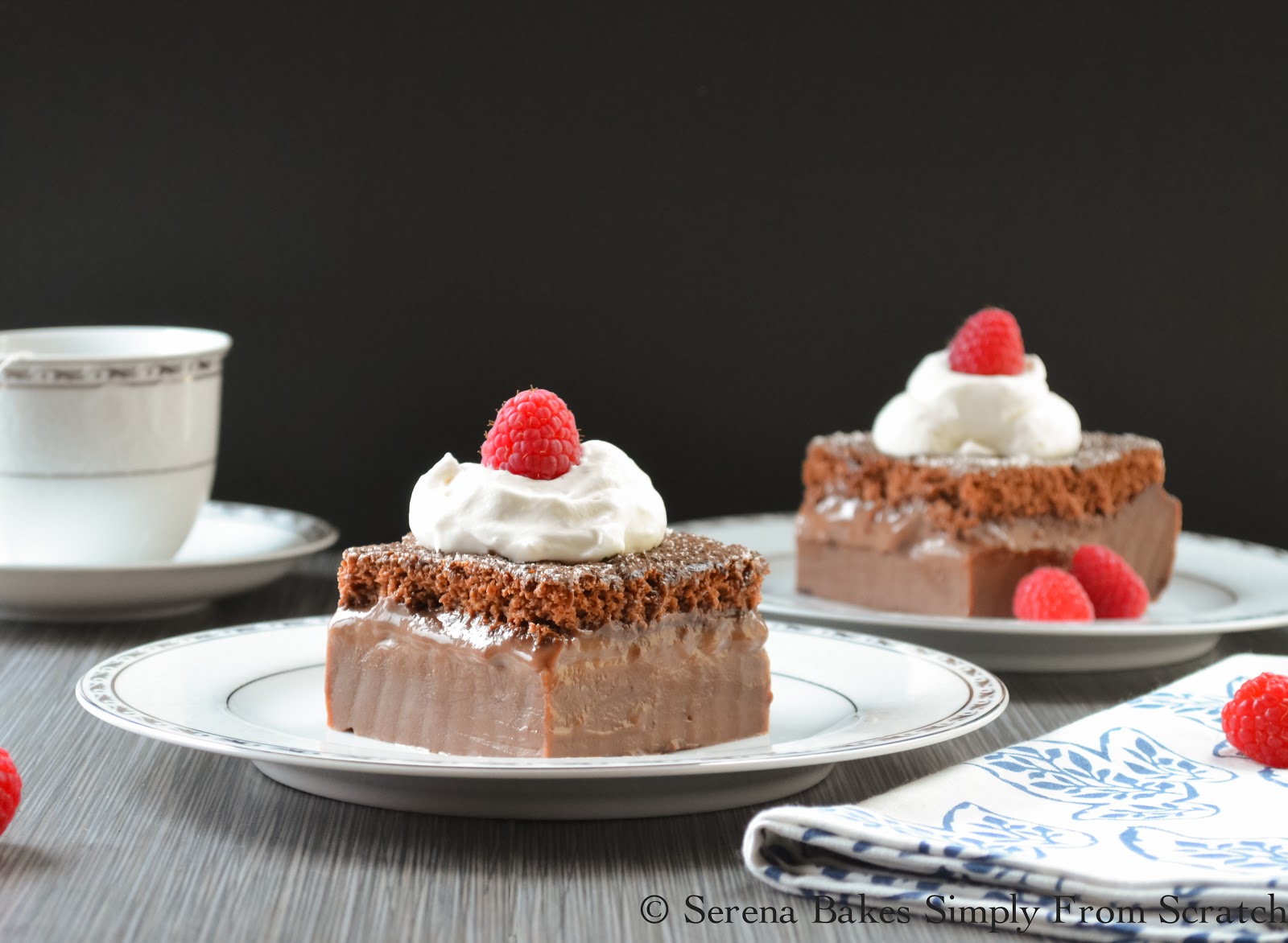 Magic Chocolate Custard Cake | Serena Bakes Simply From Scratch