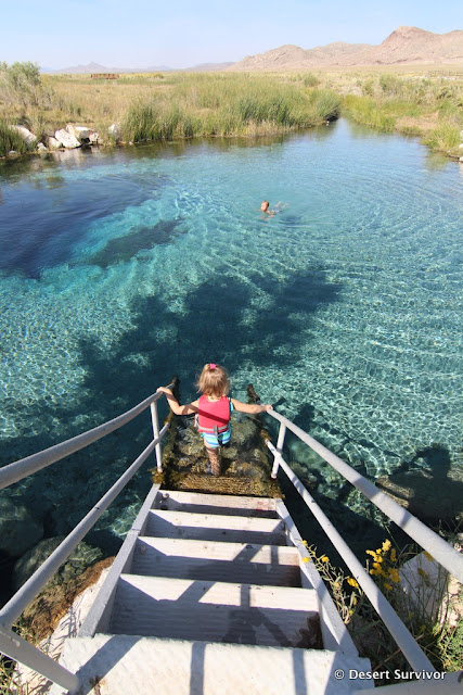 Desert Survivor: A Visit to Big Warm Spring, Duckwater Shoshone Reservation