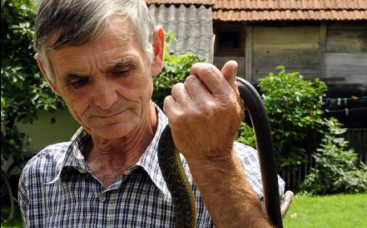 Gujar Mićo Pantić iz Semberije liječi od ujeda zmija: "Otrov mi ne može ...