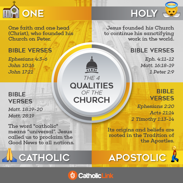 The 4 qualities of the Catholic Church (one, holy, Catholic and ...