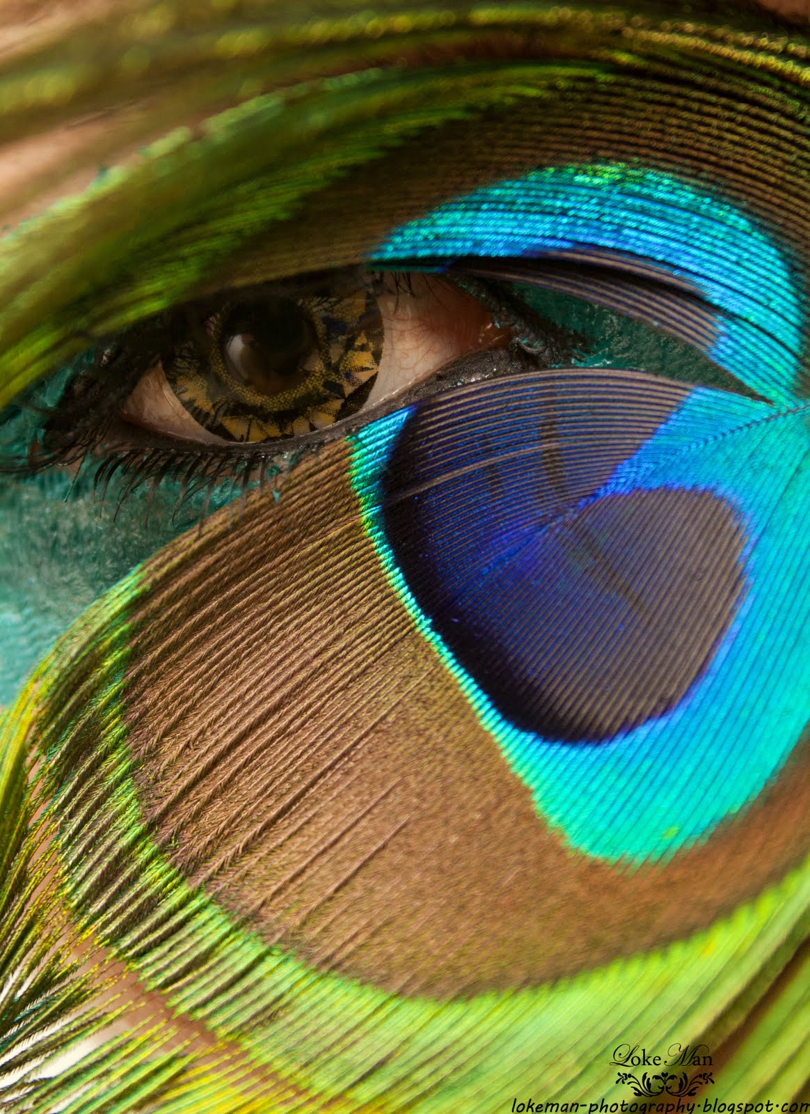 The Way Photography Begins : Peacock Eye-- By LokeMan & YipGirl