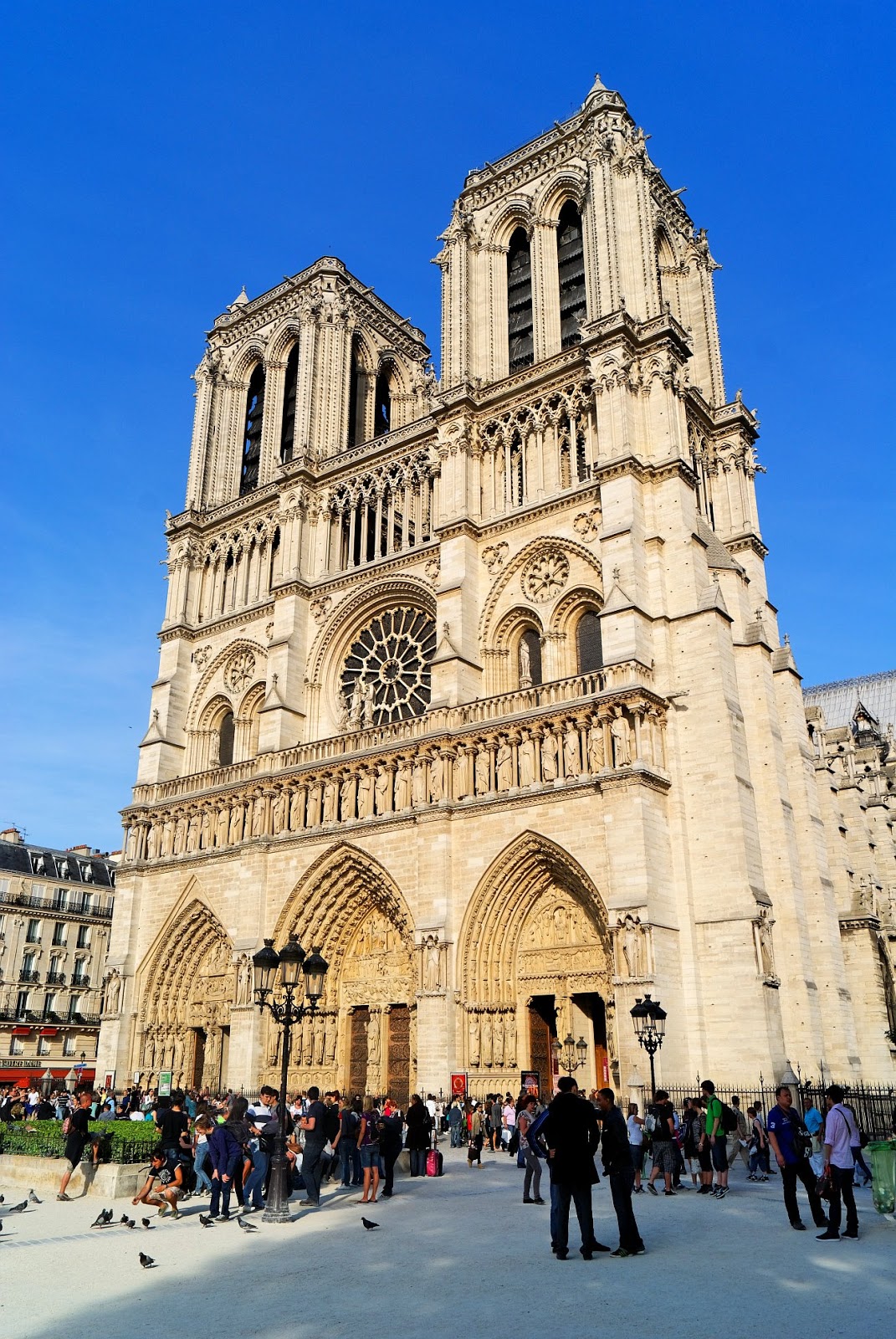 TRAVEL BROADENS THE MIND: Notre-Dame de Paris