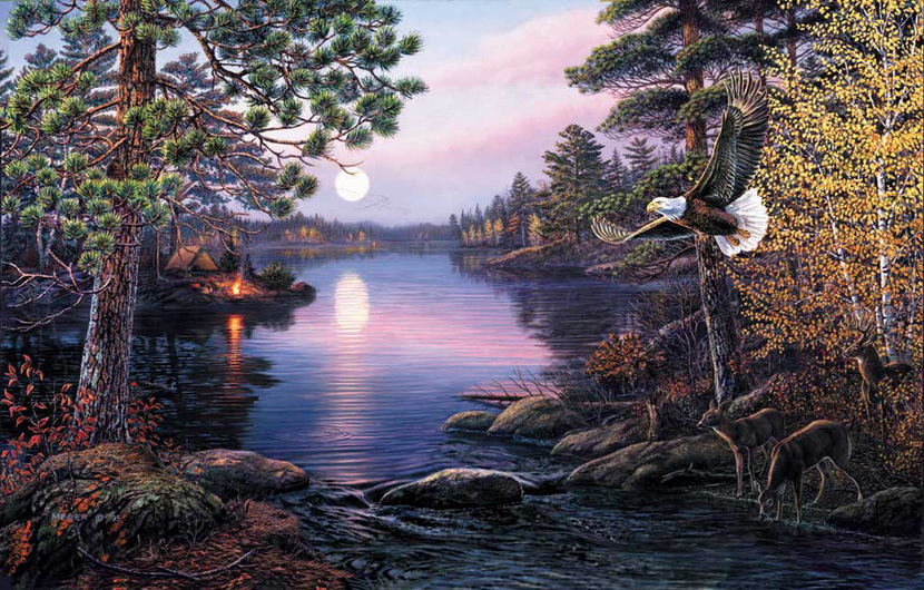 Коллекция картинок: James Meger