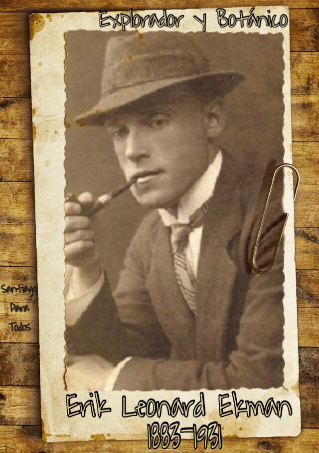 Revista El Cañero: Explorador y Botánico Erik Leonard Ekman