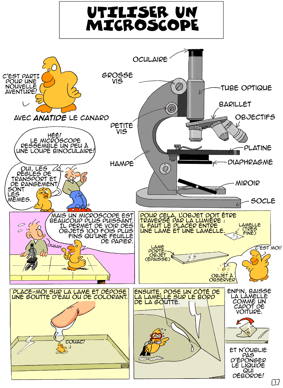 Sciences de la Vie et de la Terre - Huahine: Utilisation du microscope