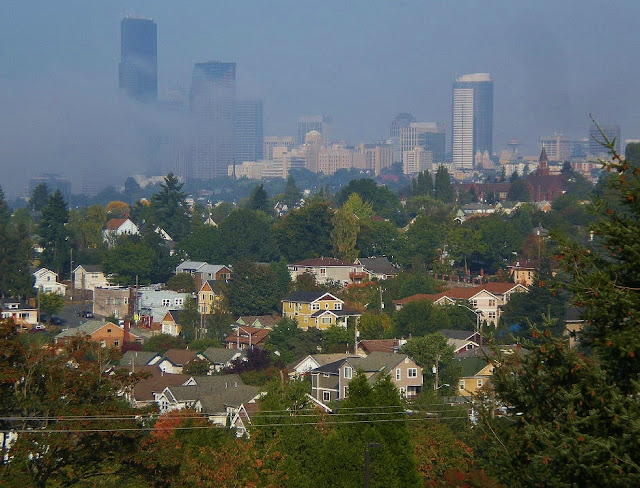 Urban Landscape, Native Landscape: Mt Baker Ridge Viewpoint
